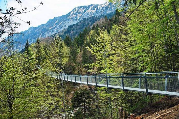 Leissigen Footbridge - HighestBridges.com