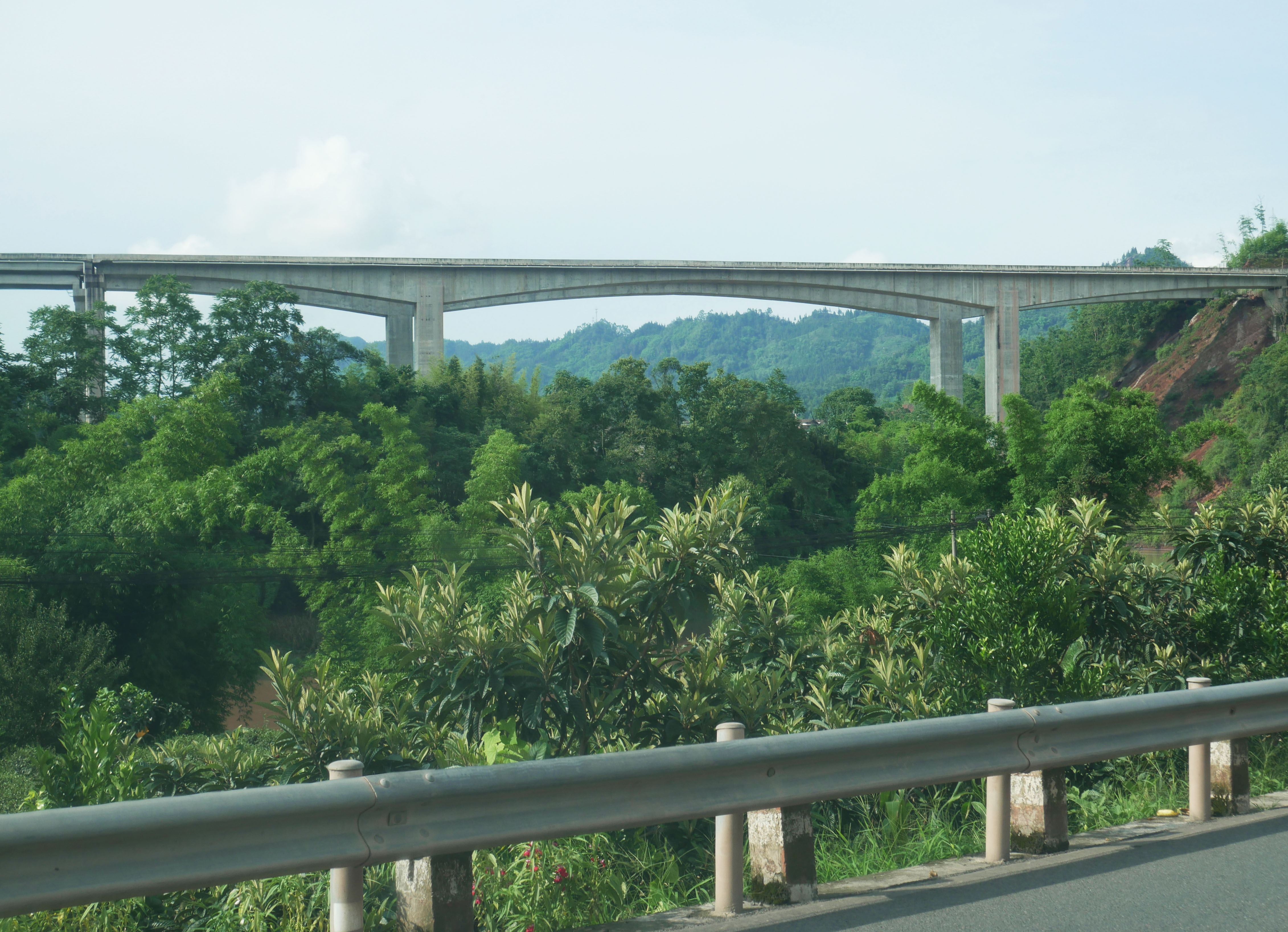 File:MabianheNumberOneTrees.JPG - HighestBridges.com